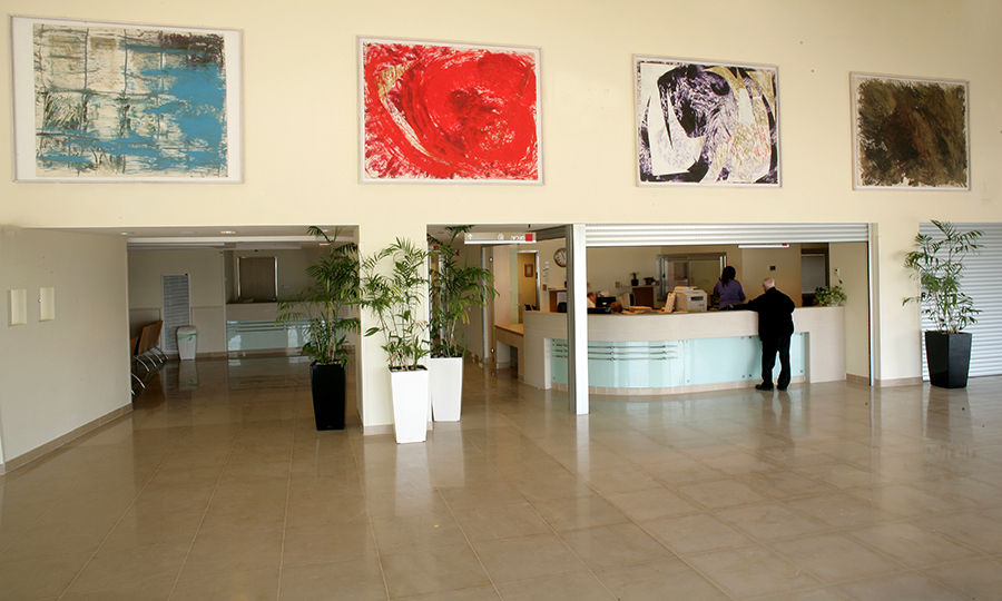 Daniella Sheinman | Artist